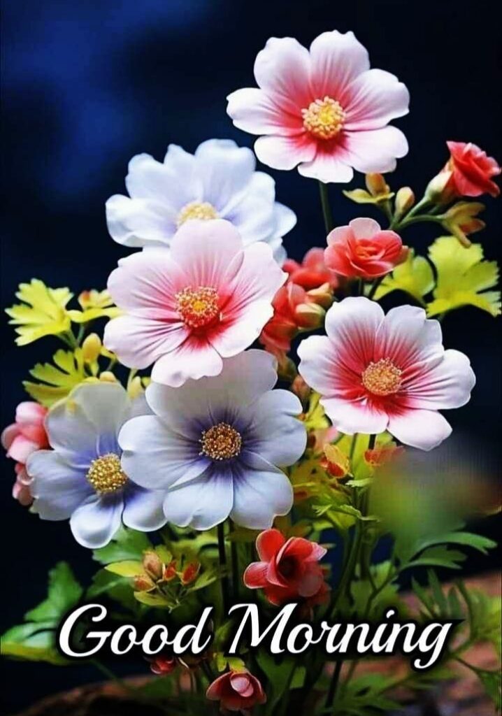 Best 50+ Good Morning Pictures » Mixing Images