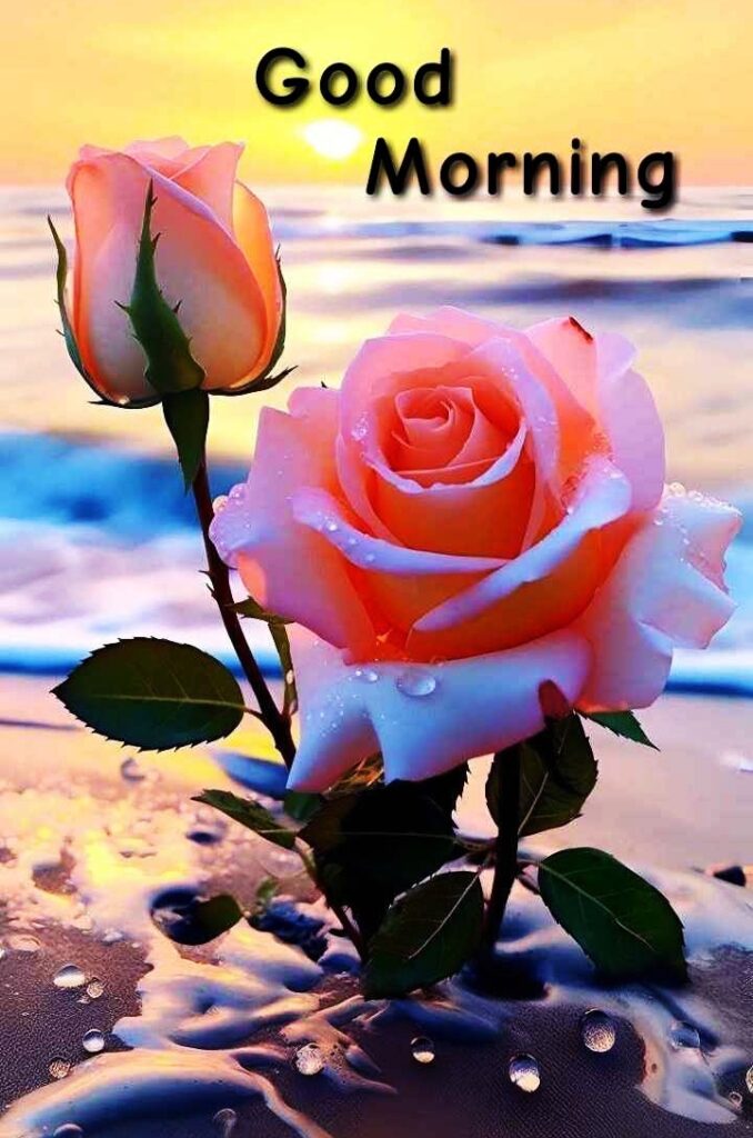 Best 50+ Good Morning Pictures » Mixing Images