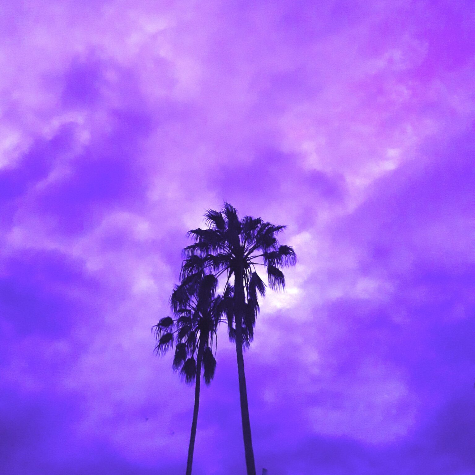 Best 20+ Purple Profile Picture » Mixing Images