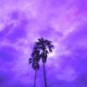 Best 20+ Purple Profile Picture » Mixing Images