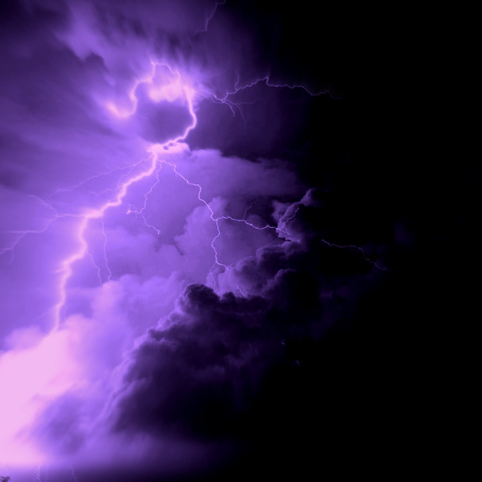 Best 20+ Purple Profile Picture » Mixing Images