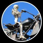 Best 20+ Skeleton PFP » Mixing Images
