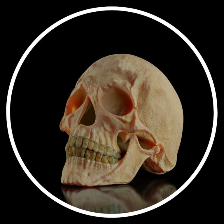 Best 20+ Skeleton PFP » Mixing Images