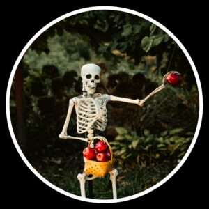 Best 20+ Skeleton PFP » Mixing Images