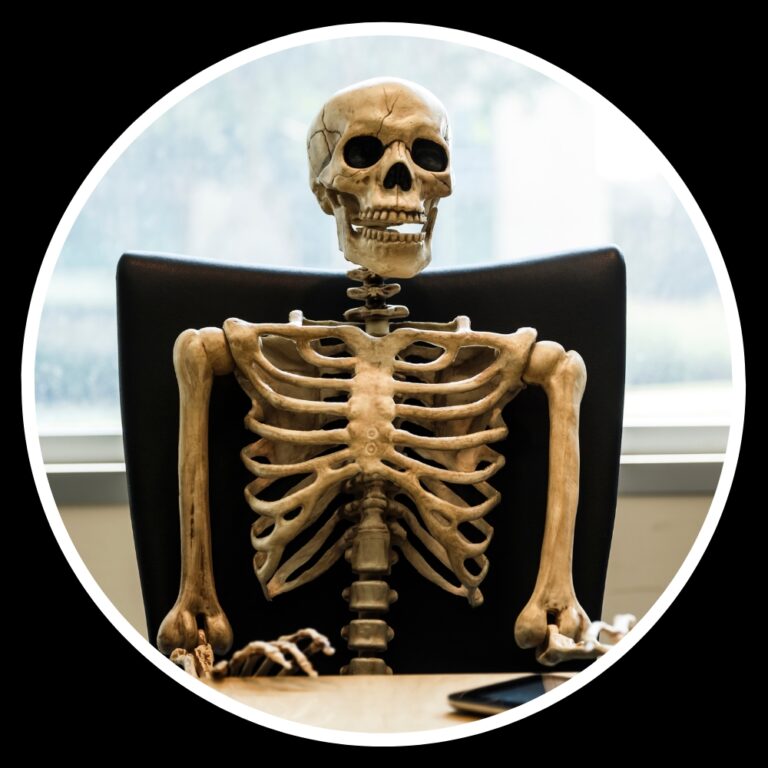 Best 20+ Skeleton PFP » Mixing Images