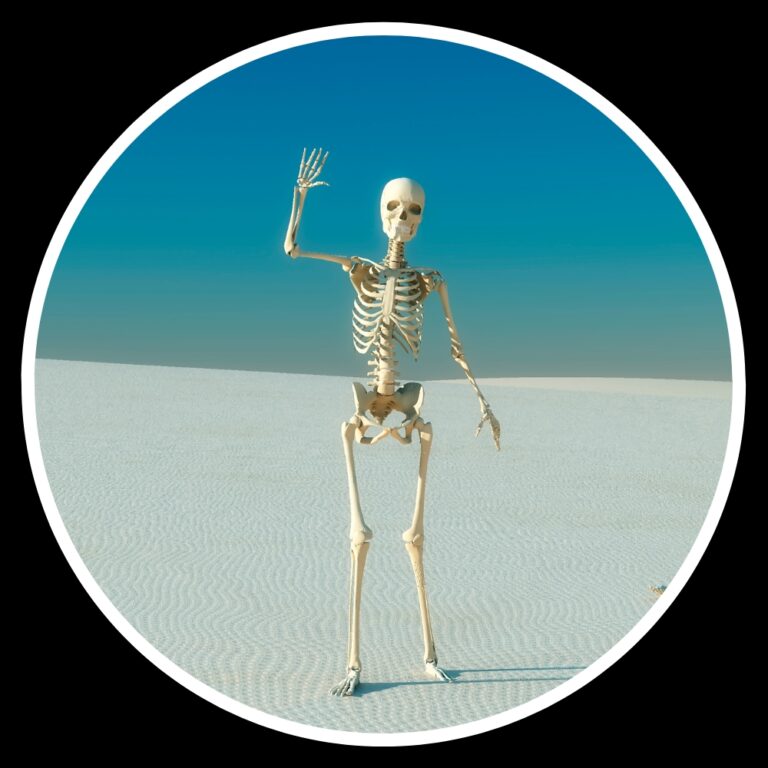 Best 20+ Skeleton PFP » Mixing Images