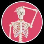 Best 20+ Skeleton PFP » Mixing Images