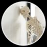 Best 20+ Skeleton PFP » Mixing Images