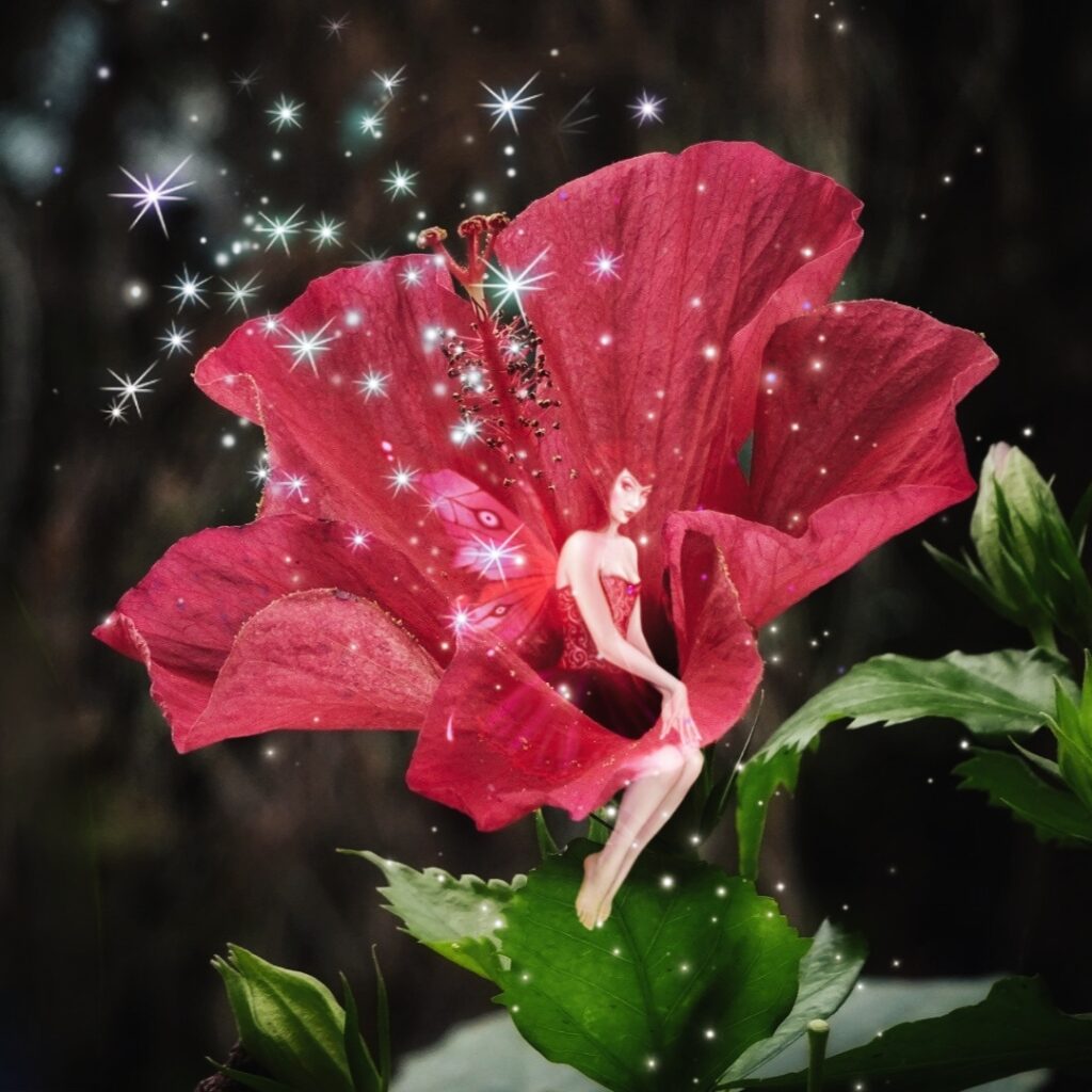 Best 1515+ Fairy Profile Picture » Mixing Images