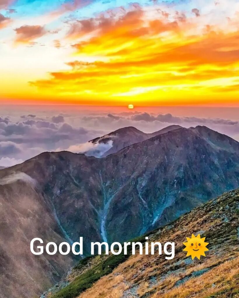 Best 20+ New Beautiful Good Morning Images » Mixing Images