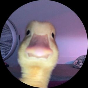 Best 4141+ Funny Profile Pictures » Mixing Images