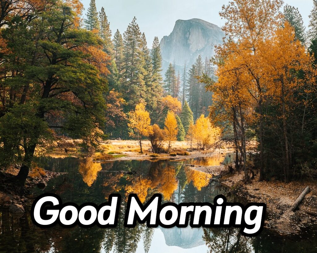 Best 100+ Good Morning Fall Images » Mixing Images
