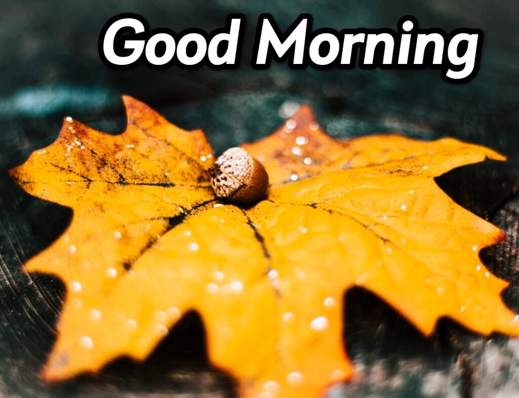Best 100+ Good Morning Fall Images » Mixing Images