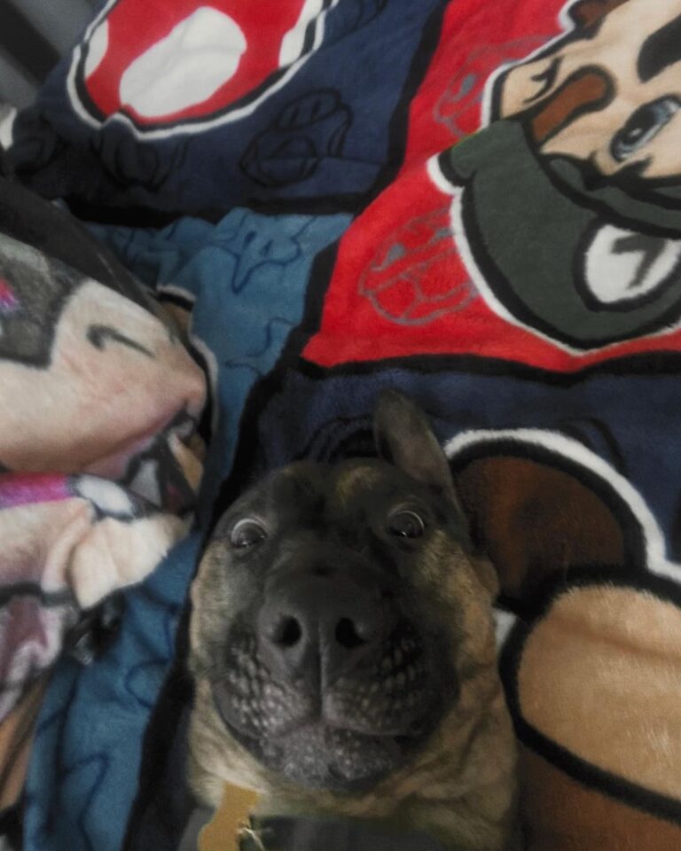 1000+ Goofy Ahh Pictures, Images, Pics, Photos, Wallpaper » Mixing Images