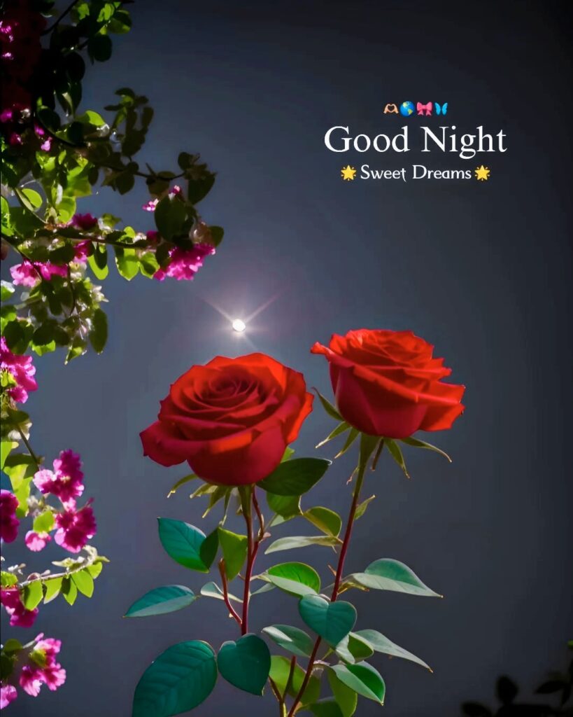 TOP 10+ Beautiful Good Night Image » Mixing Images